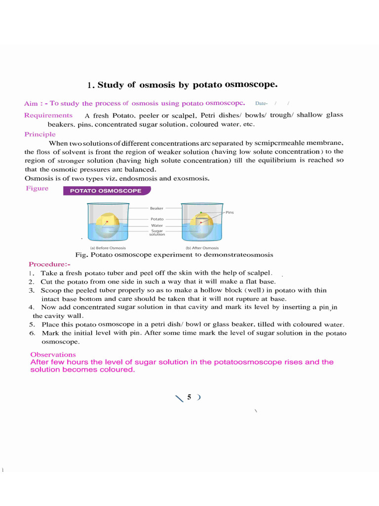 Class 11 Biology Practical Guide | PDF | Academia | Academic Degree