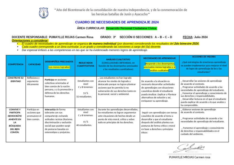 PUMAYLLE 3º Cuadro de Necesidades 2024 DPCC | PDF | Aprendizaje | Maestros