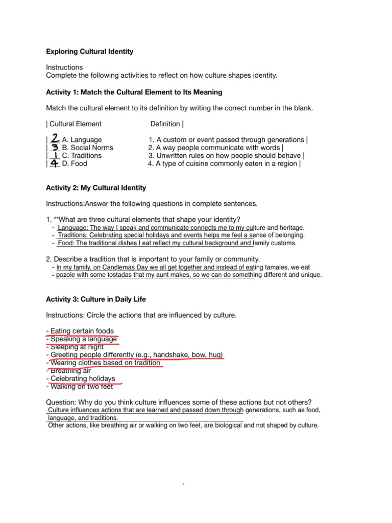 Understanding Cultural Identity | PDF