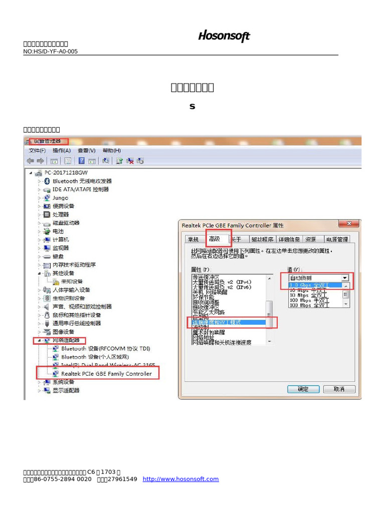Hoson Software Manual | PDF