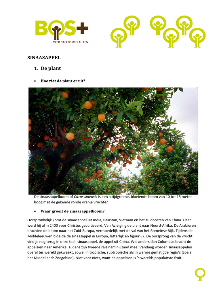 Productfiche SINAASAPPEL Fin | PDF