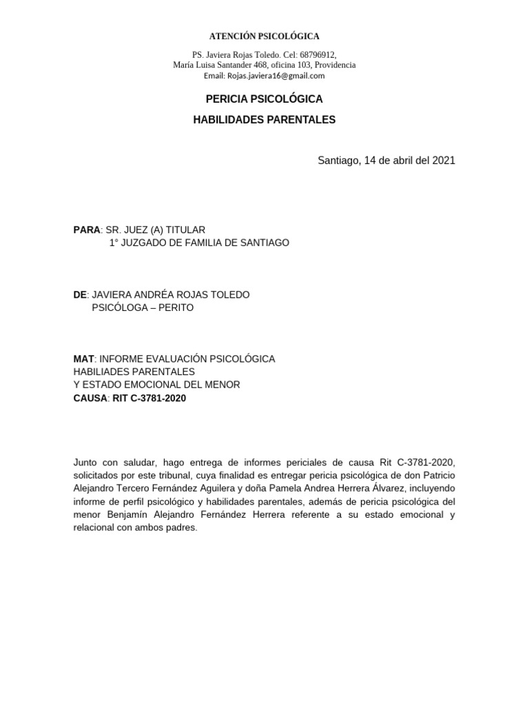 Formato Pericia Psicológica | PDF | Teoría de apego | Las emociones