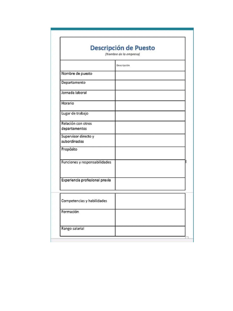 Formato Descripcion de Puesto | PDF