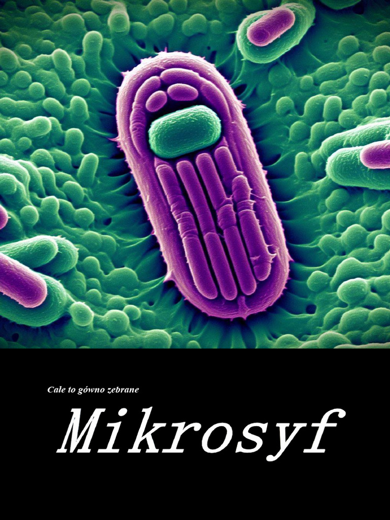 Skrypt Mikrosyf 1 | PDF