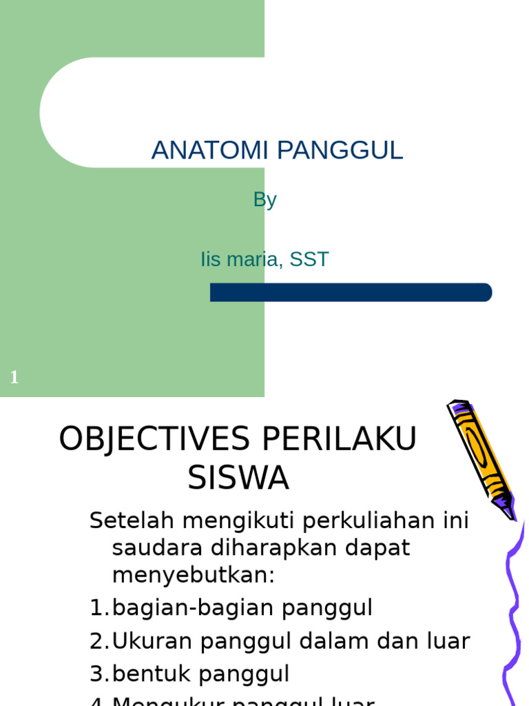 Anatomi dan Ukuran Panggul Manusia | PDF