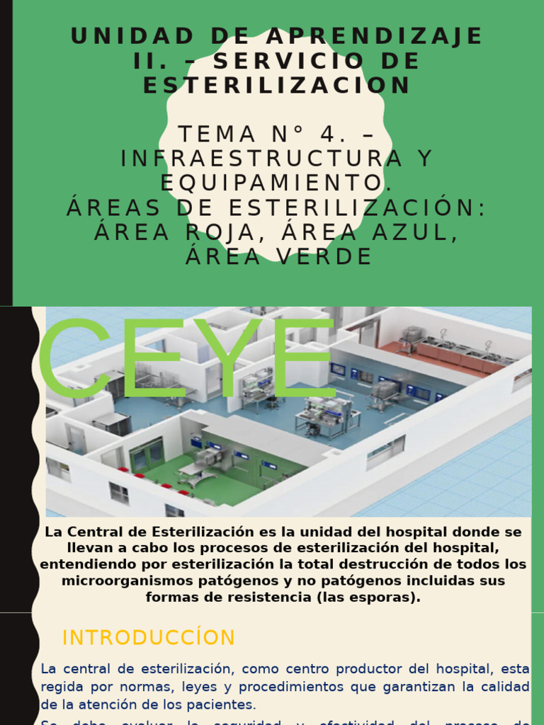 Áreas de la Central de Esterilización CEYE | PDF | Esterilización ...