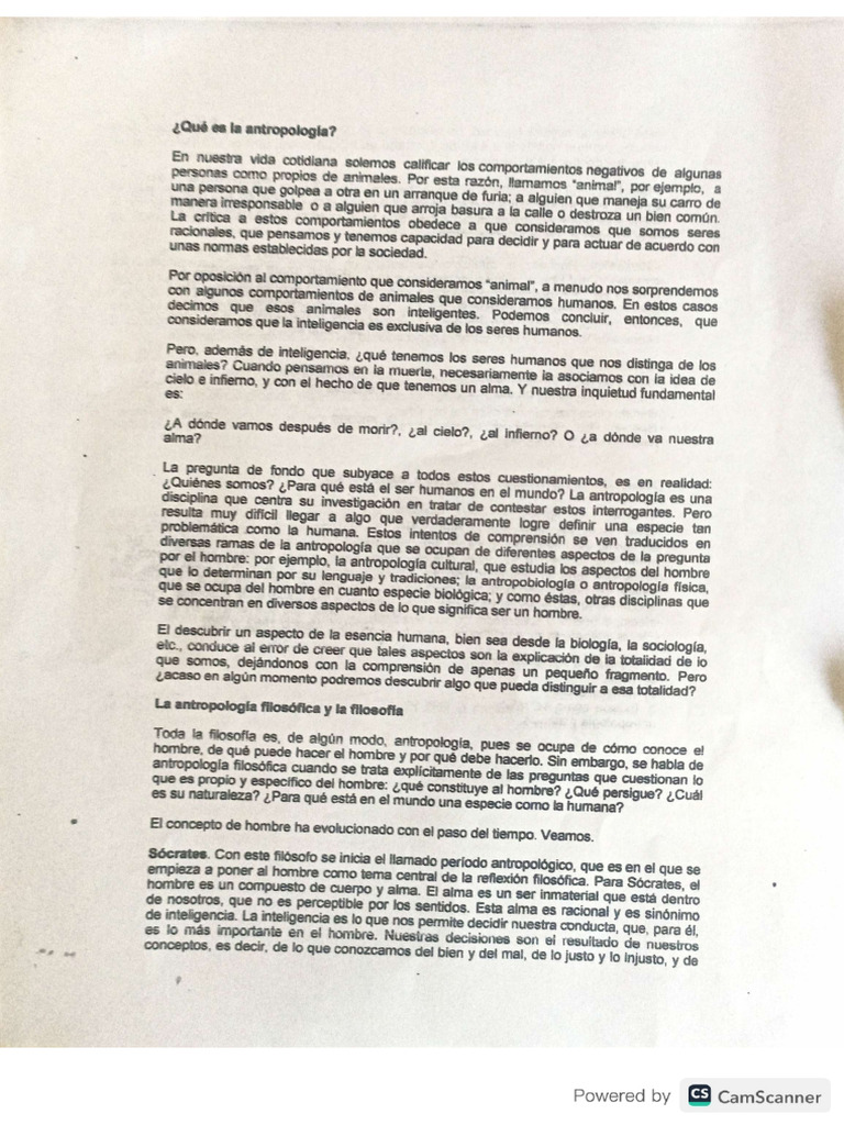 Filodo | PDF