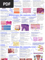 Tipos e Estruturas da Mucosa Oral | PDF | Boca | Língua