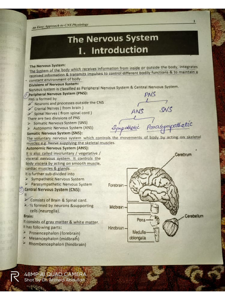 Rana Haseeb Ak | PDF