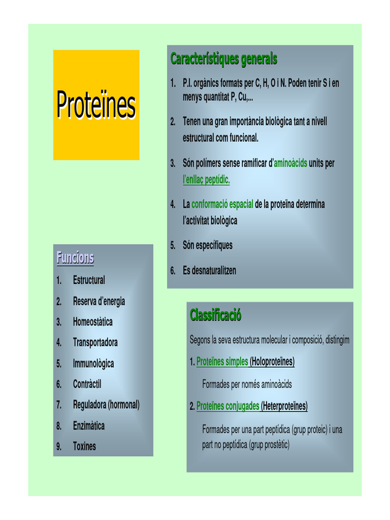 1 - Biomolècules - Tema_1_4_Proteines (1) | PDF