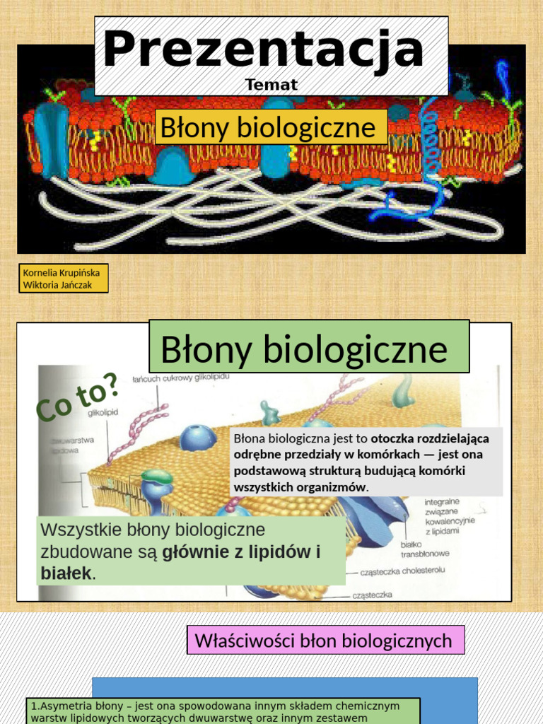 Blony Biologiczne | PDF
