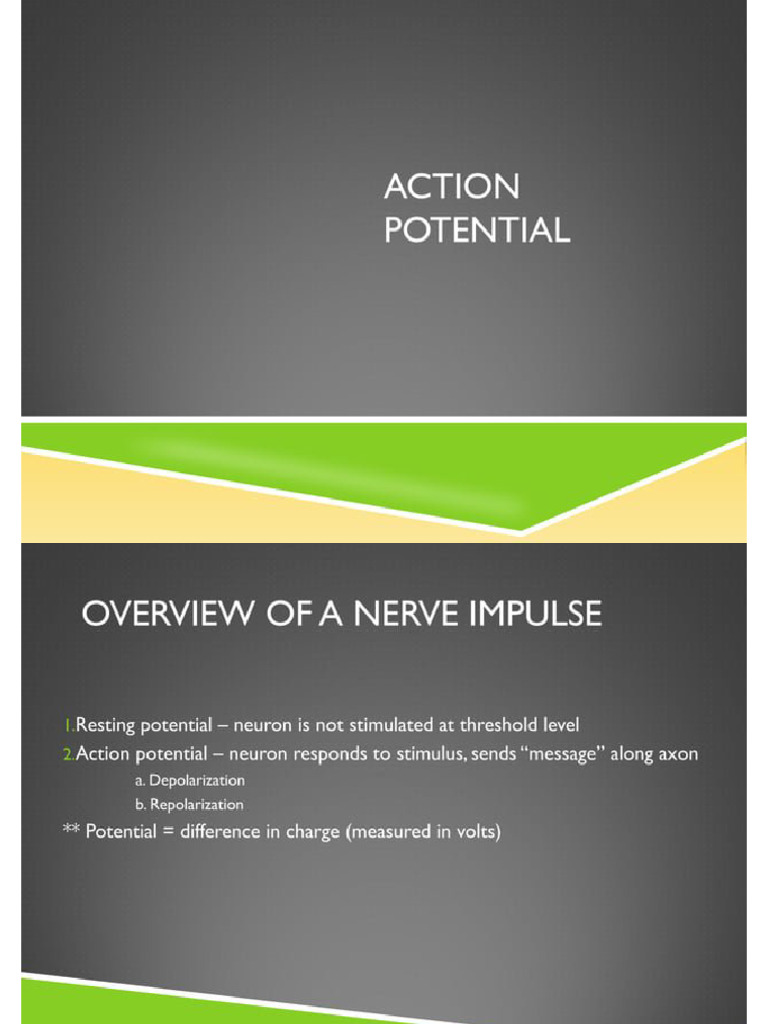Action potential | PDF