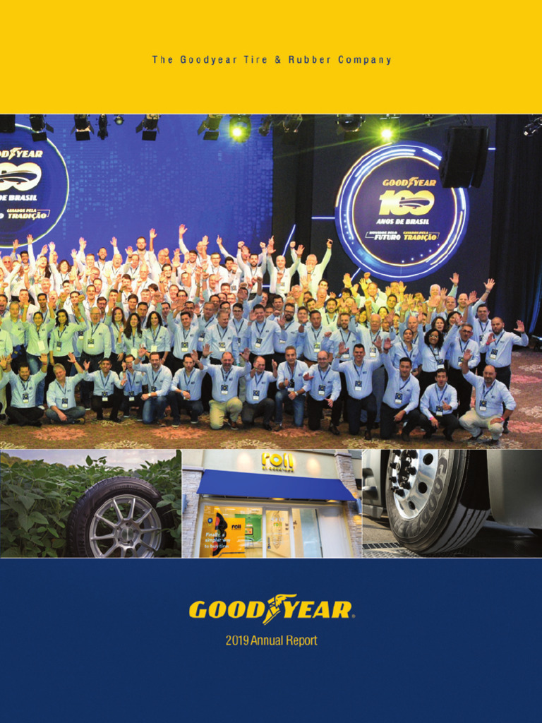 COMPAÑIA GOODYEAR DEL PERU EEFF 2019 | PDF | Taxes | Income
