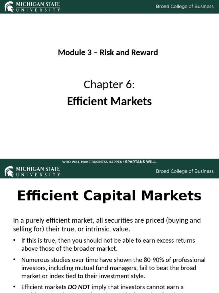CH 6 3.efficient Markets | PDF | Efficient Market Hypothesis | Stocks