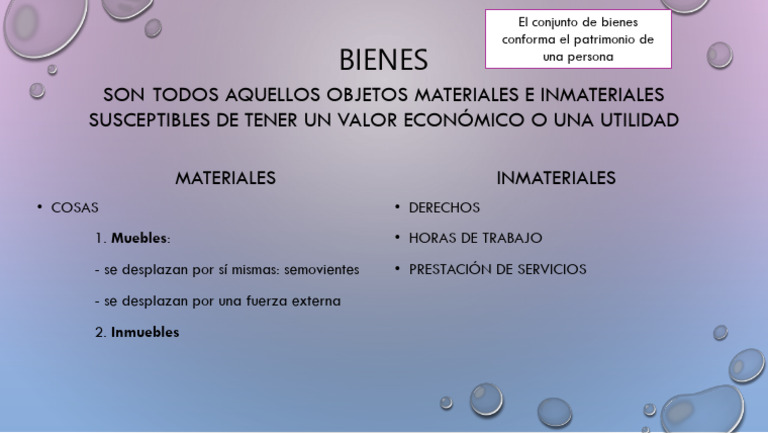 Bienes y Cosas | PDF