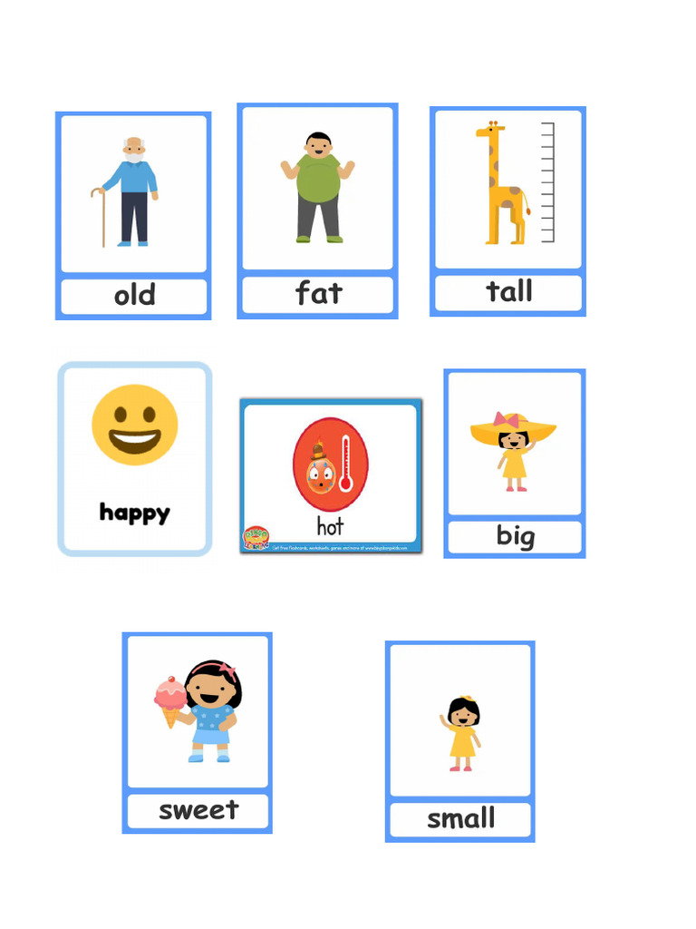 Adjectives Flashcard | PDF