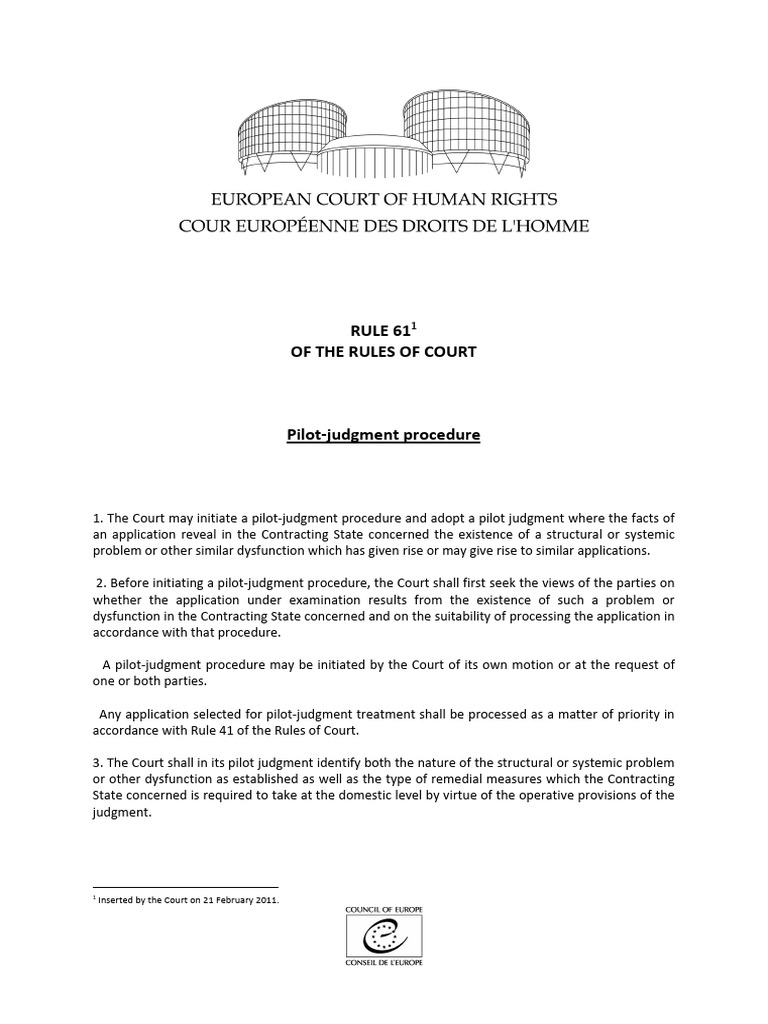 Pilot Judgment Procedure ENG | PDF | Judgment (Law) | Justice