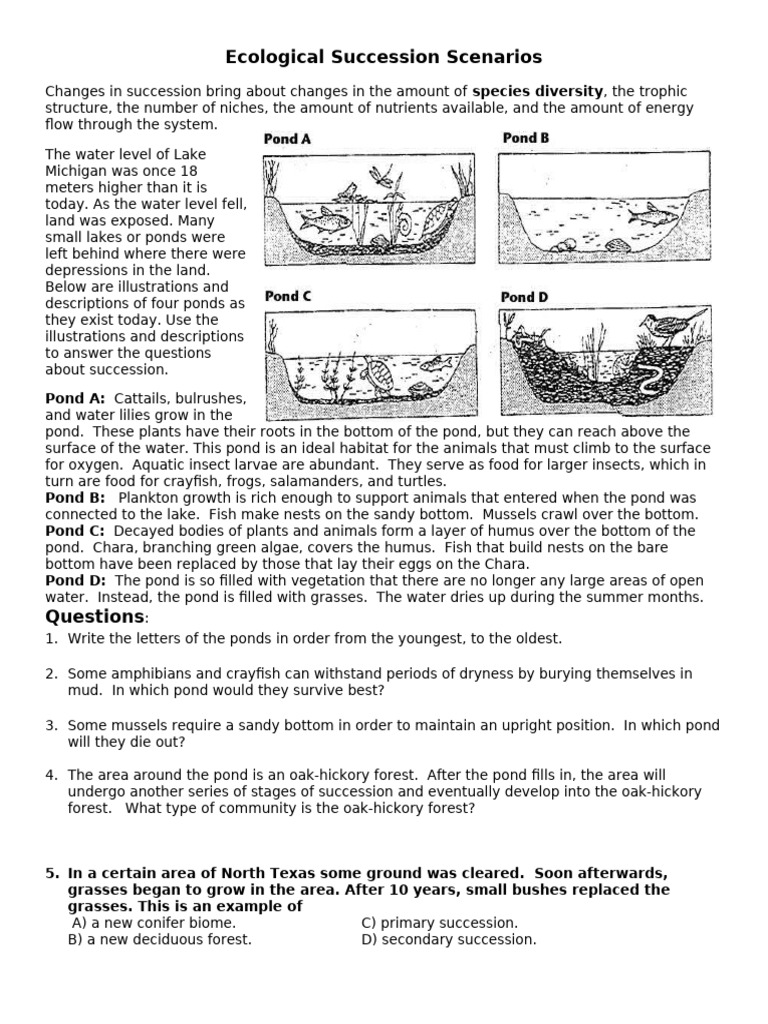 Ecological Succession Scenarios | PDF | Pond | Ecology