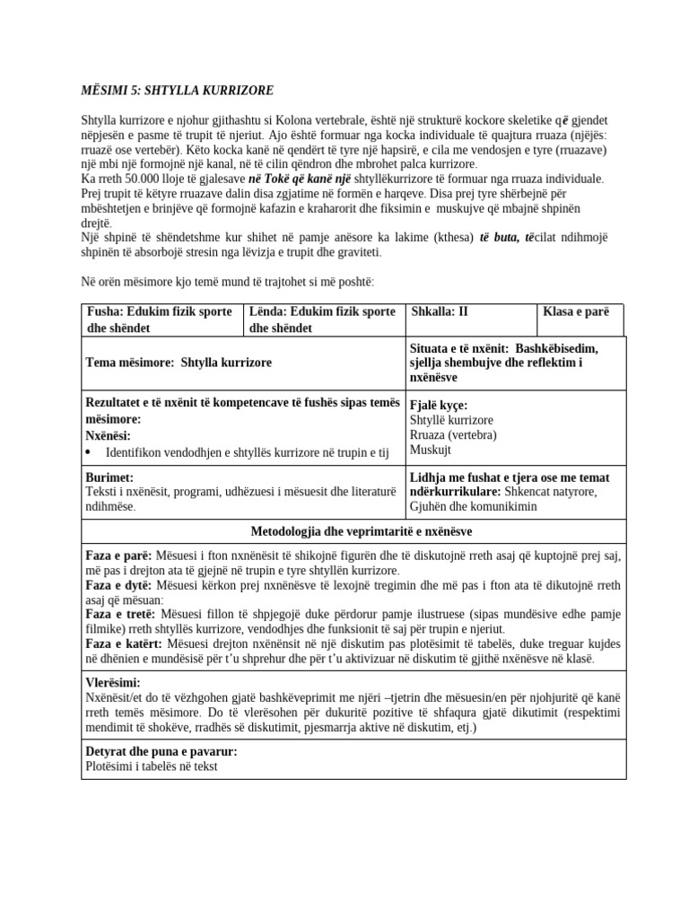 Shtylla Kurrizore | PDF