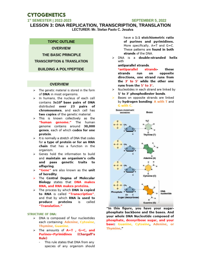 Translation and Transcript | PDF | Dna Replication | Rna