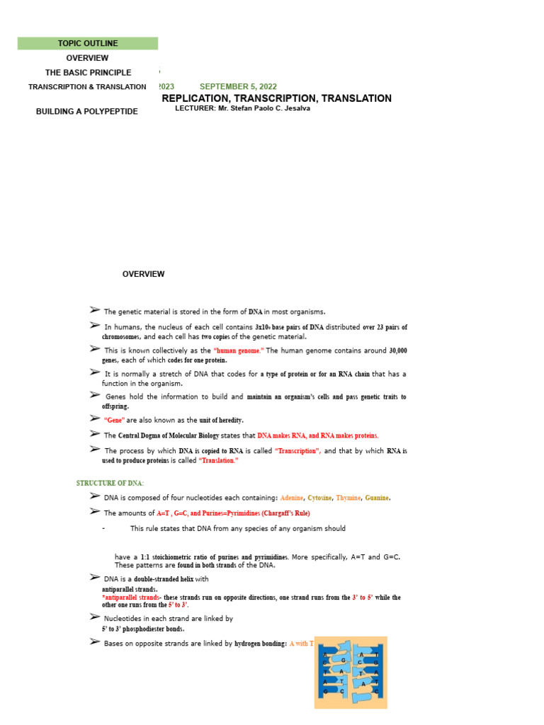 DNA Replication, Transcription, Translation Guide | PDF | Dna ...