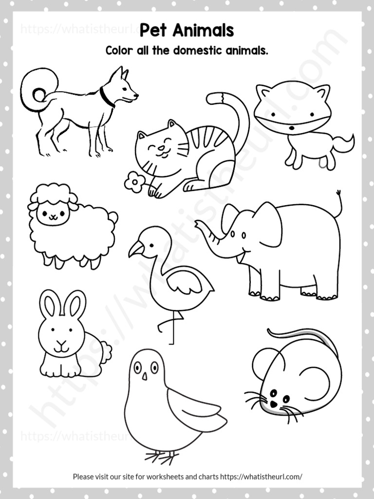Find and Color The Pet Animals | PDF