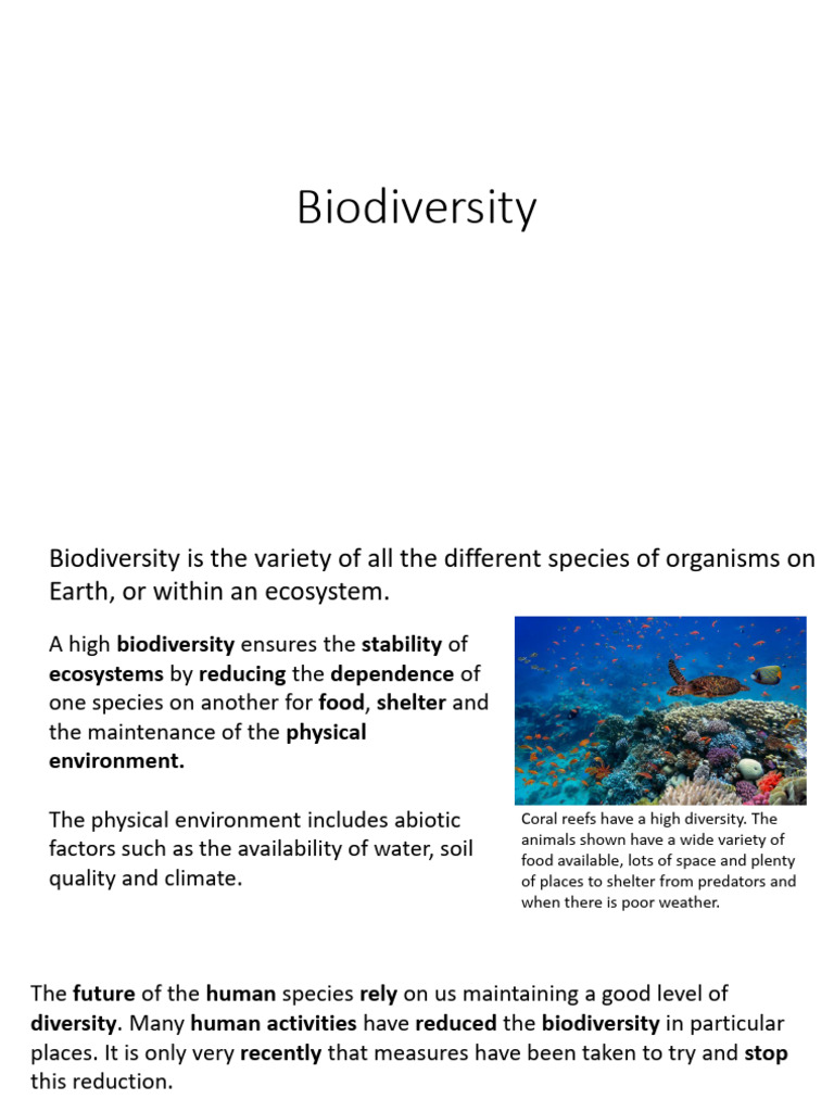 Lesson 4 - Biodiversity | PDF | Endangered Species | Biodiversity