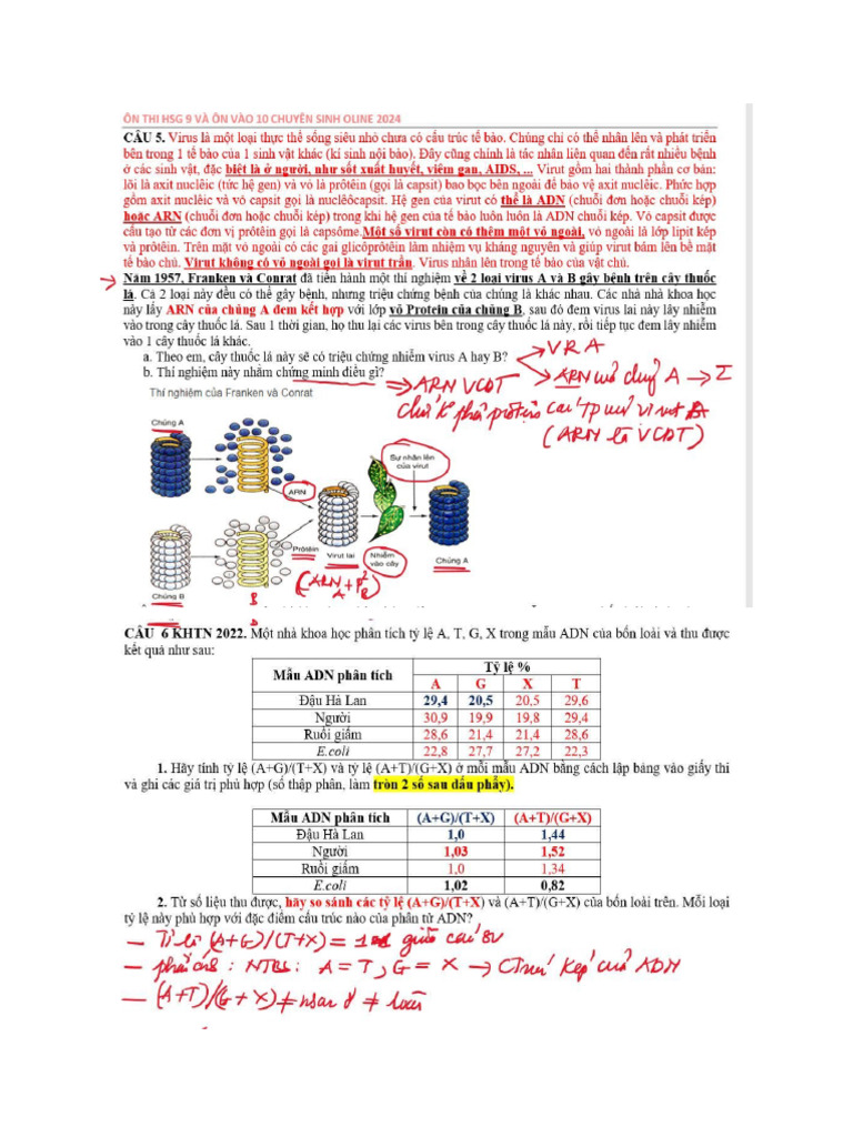 NH NG Bài T NG H P Hay | PDF
