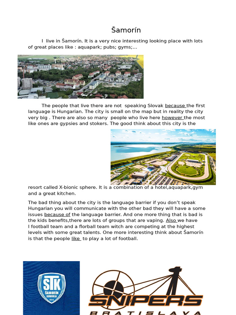 Dokument - Kópia | PDF