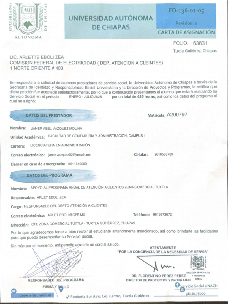 Carta de Asignación Cfe | PDF