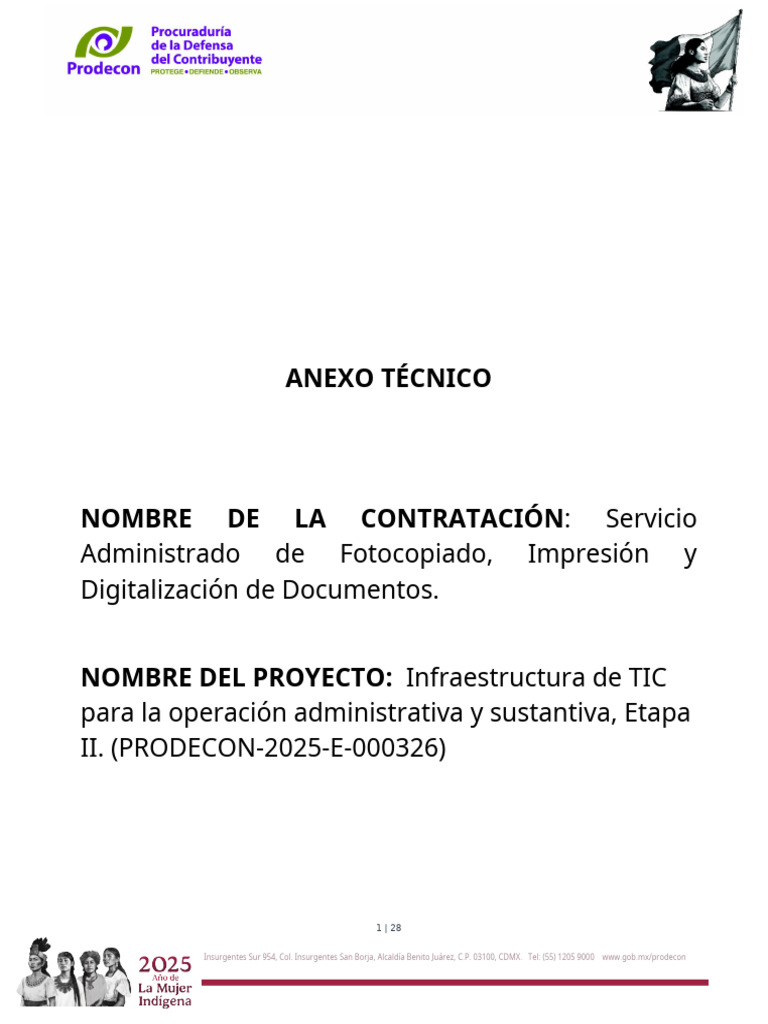 Anexo Tecnico | PDF | Impresora (Computación) | Soporte técnico
