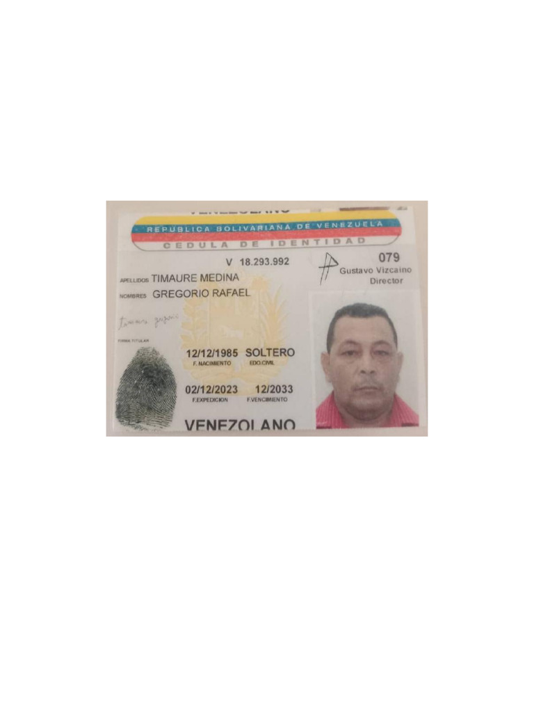 Gregorio Timaure | PDF