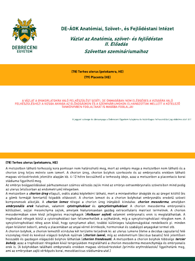 13.hét - A - Placenta, Terhes Uterus | PDF