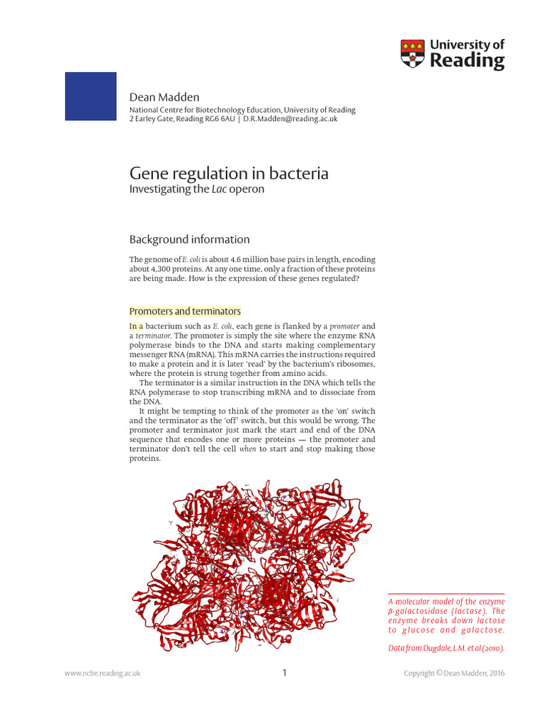 Gene Regulation in Ecoli | PDF | Repressor | Operon