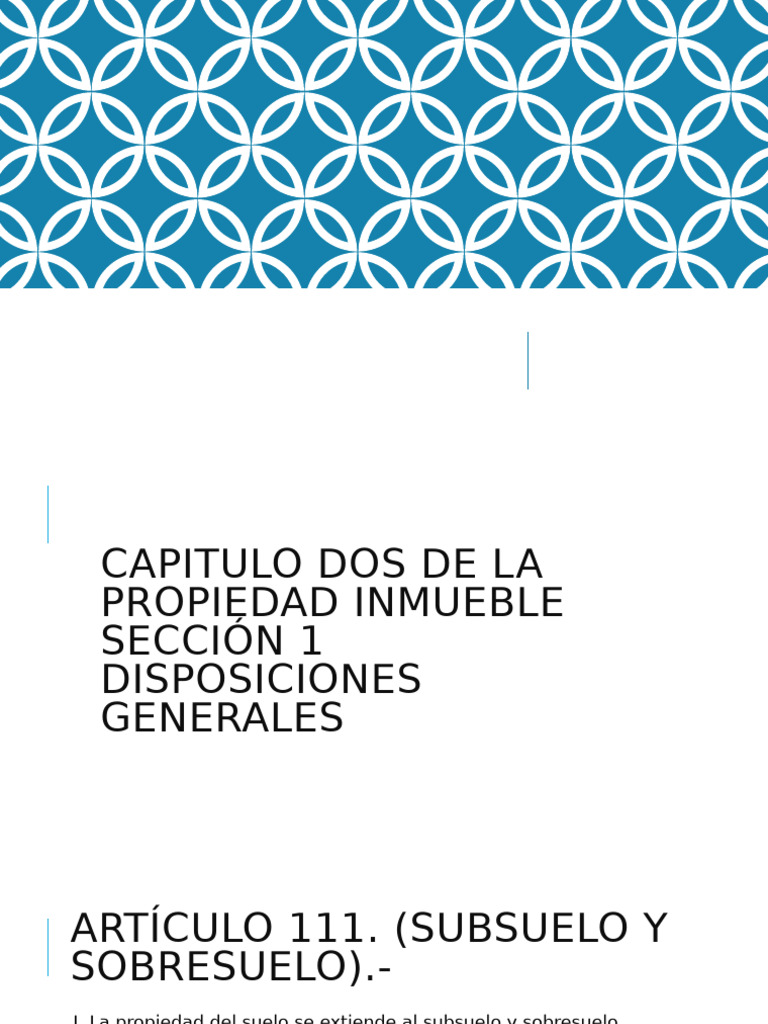 Propiedad Inmueble Sección 1 disposiciones Generales | PDF