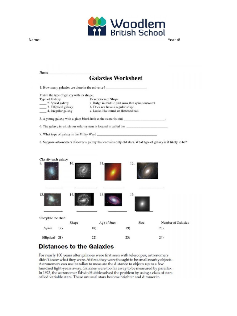 Worksheet Year 8 Chapter 6 | PDF