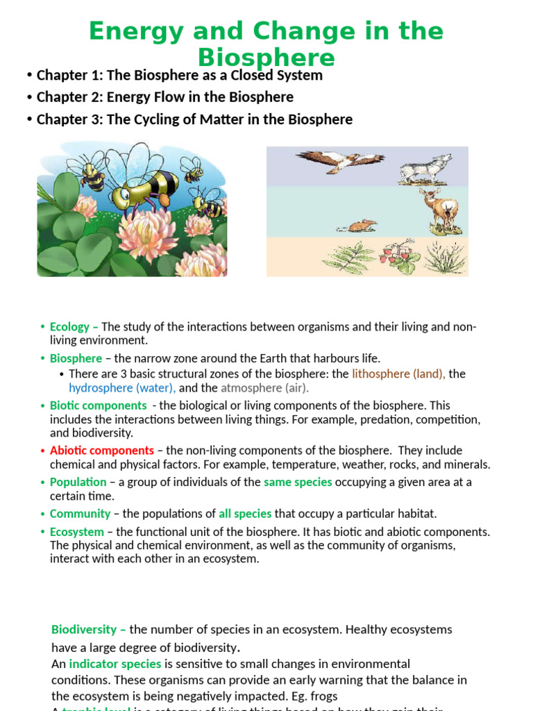 Energy Flow and Ecosystem Dynamics | PDF | Cellular Respiration ...