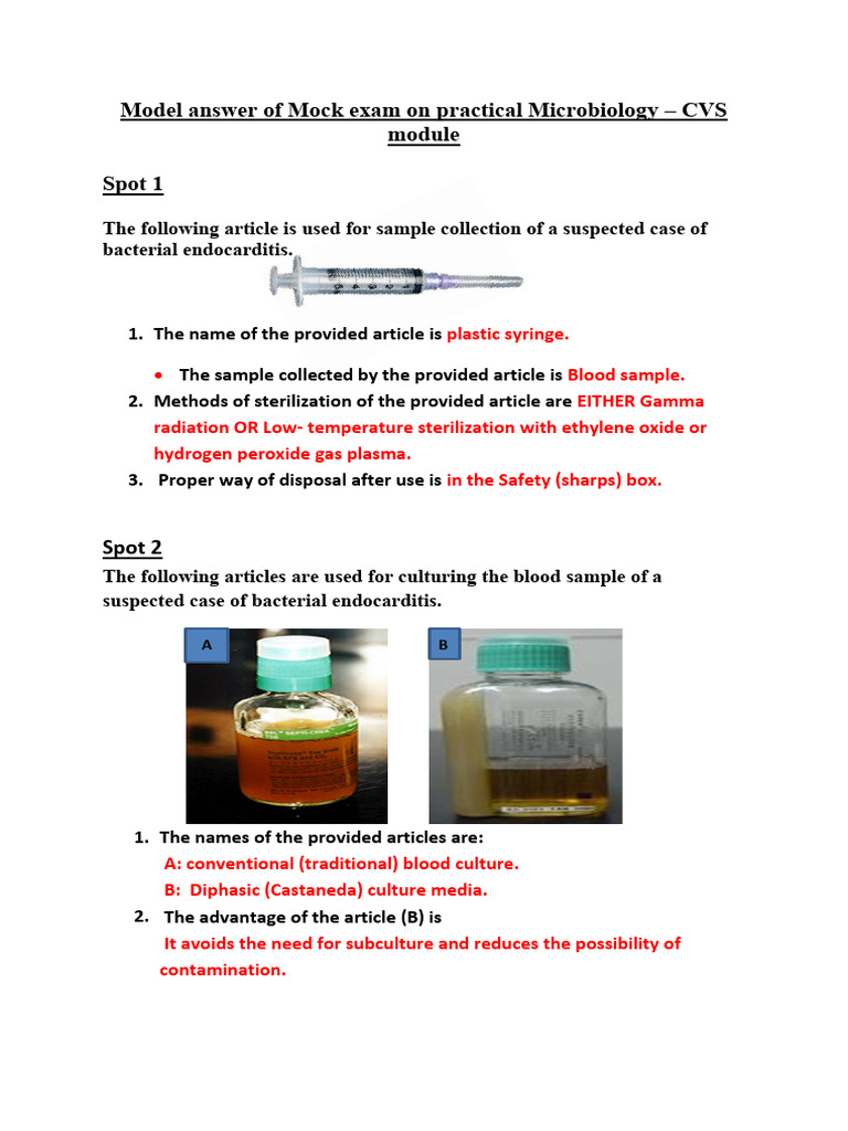 CVS Mock Exam Model Answer | PDF | Serology | Microbiology