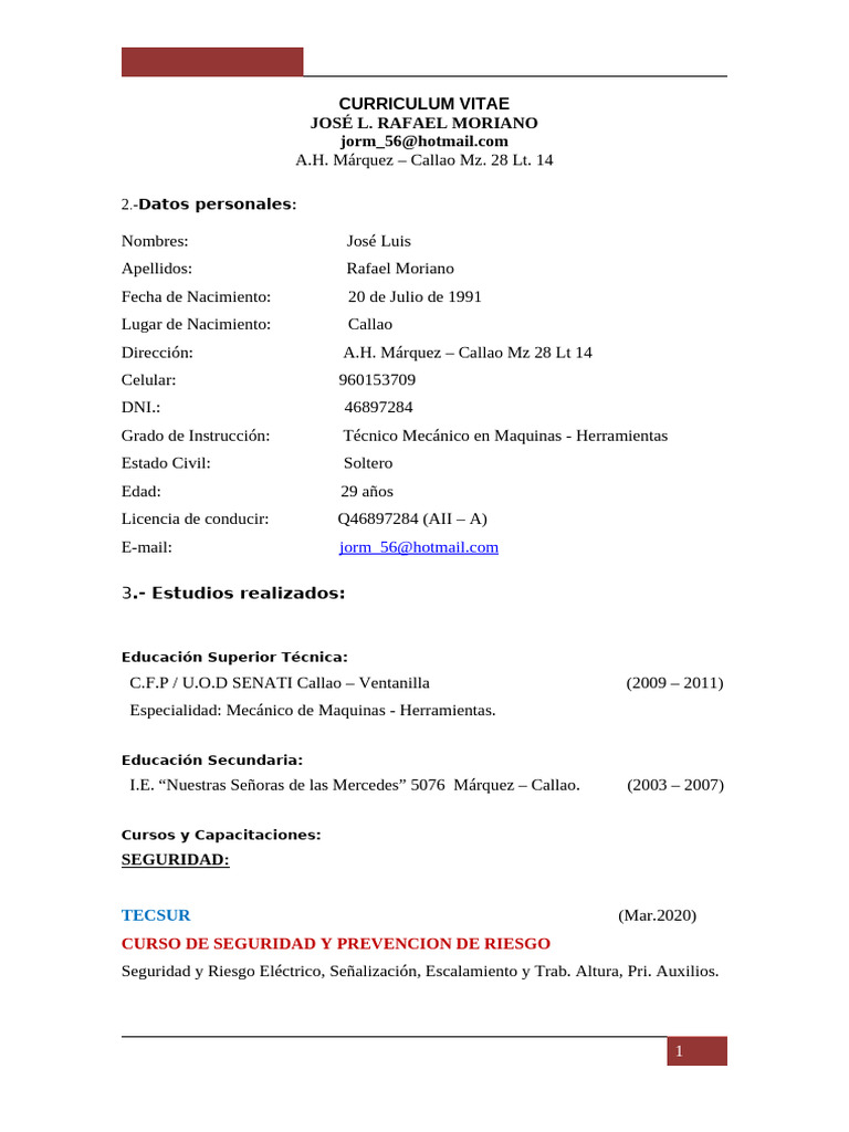 Curriculum Vitae Jose Rafael | PDF