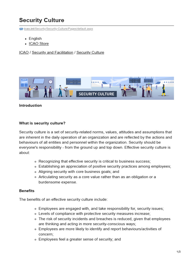 Enhancing Security Culture in Aviation | PDF