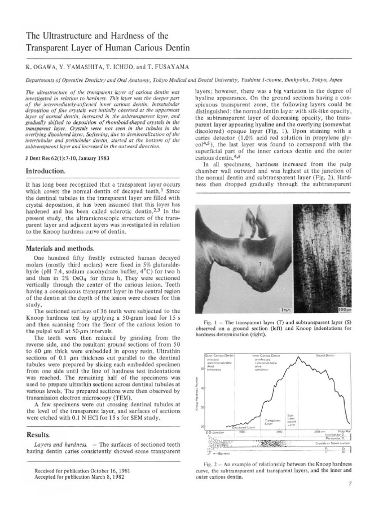 Ultrastructure of Transparent Dentin | PDF | Dentin | Tooth