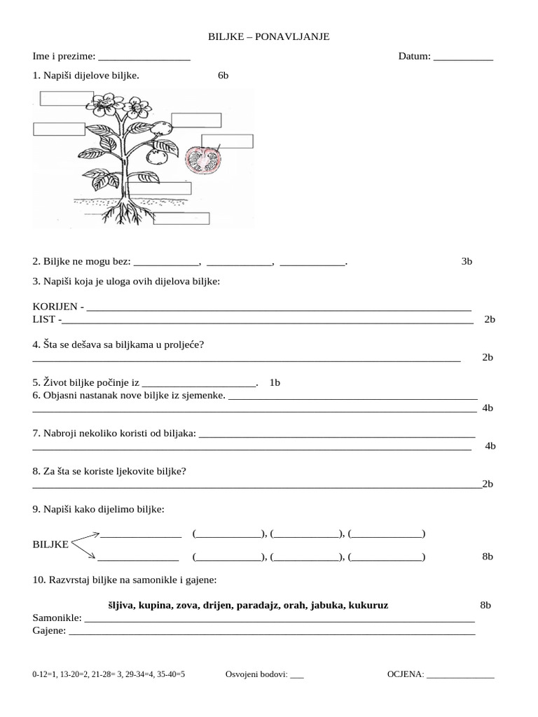 Biljke | PDF