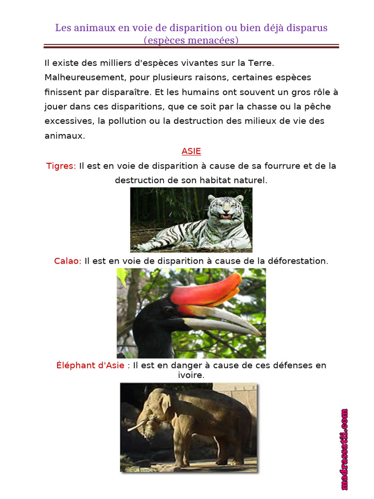 Animaux en voie de disparition | PDF | Espèces menacées | Extinction