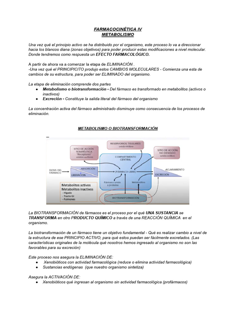 Farmacocinética Iv - Metabolismo | PDF | Citocromo P450 | Biotransformación