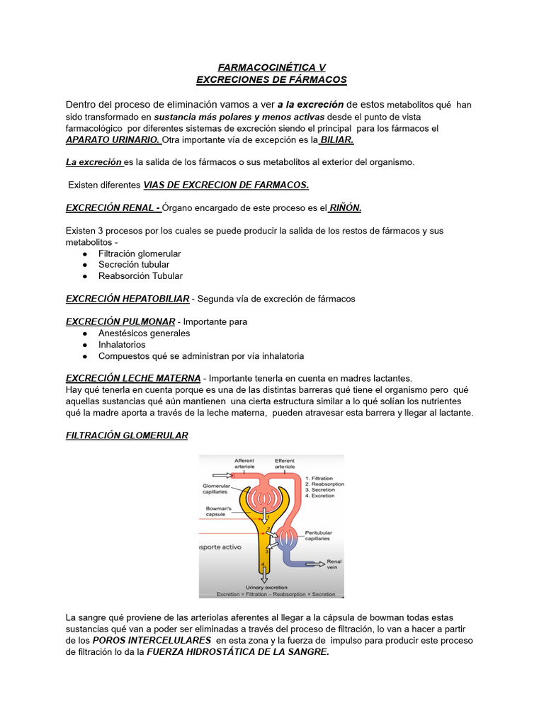 Farmacocinética V - Excreciones de Farmacos | PDF | Excreción ...