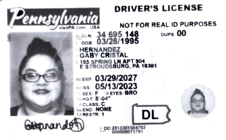 Pennsylvania Driver's License Details | PDF