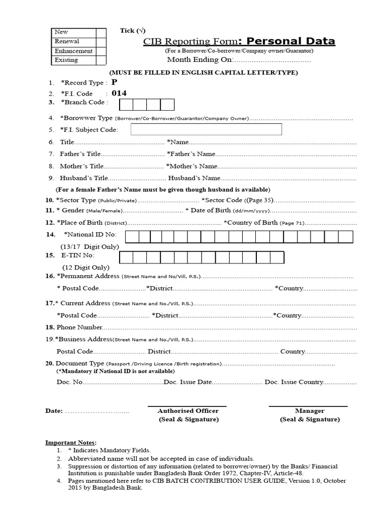 1 CIB Reporting Form - Personal Data5471 | PDF | Authentication | Government And Personhood