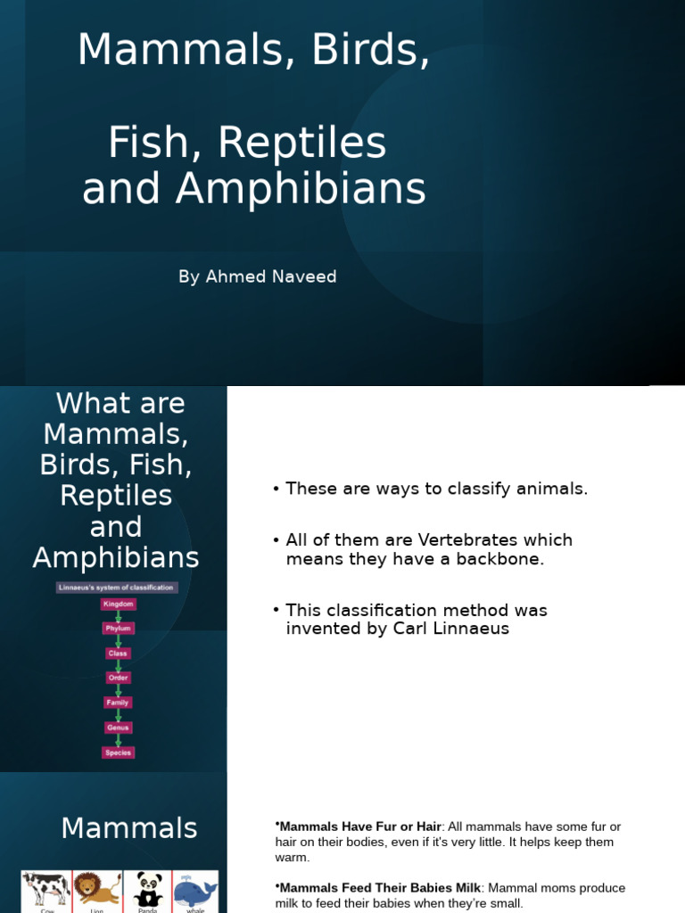 Mammals, Birds, Fish, Reptiles and Others!! | PDF | Amphibian | Reptile