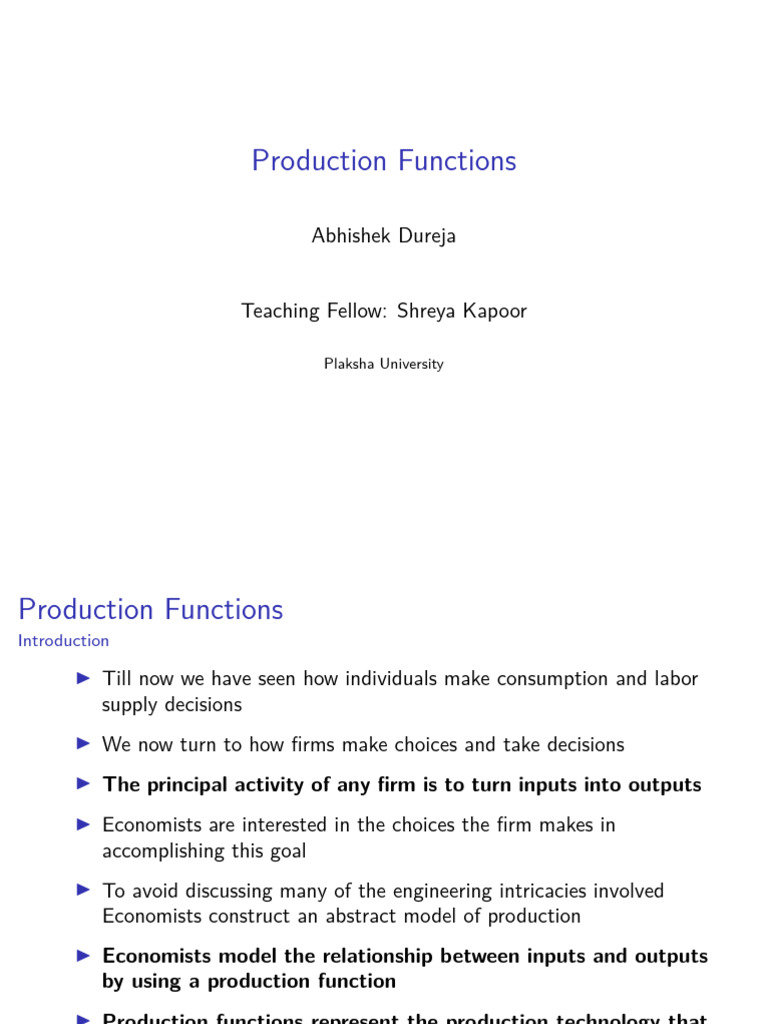 Production Functions | PDF | Production Function | Economics