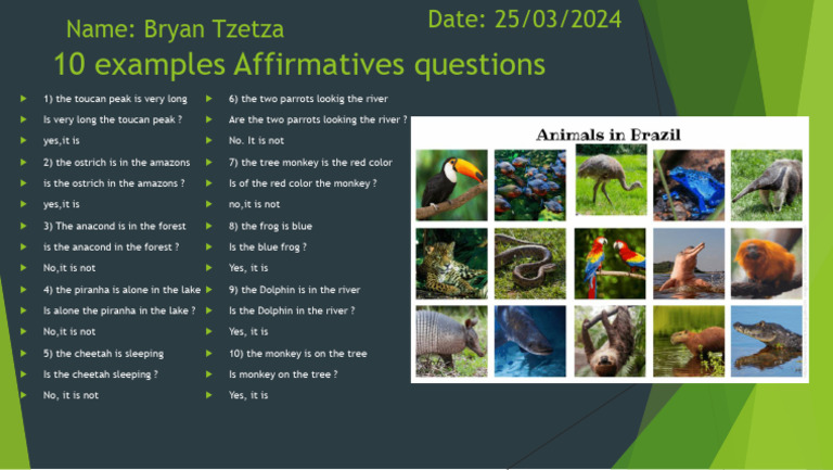 10 Examples Affirmatives Questions | PDF